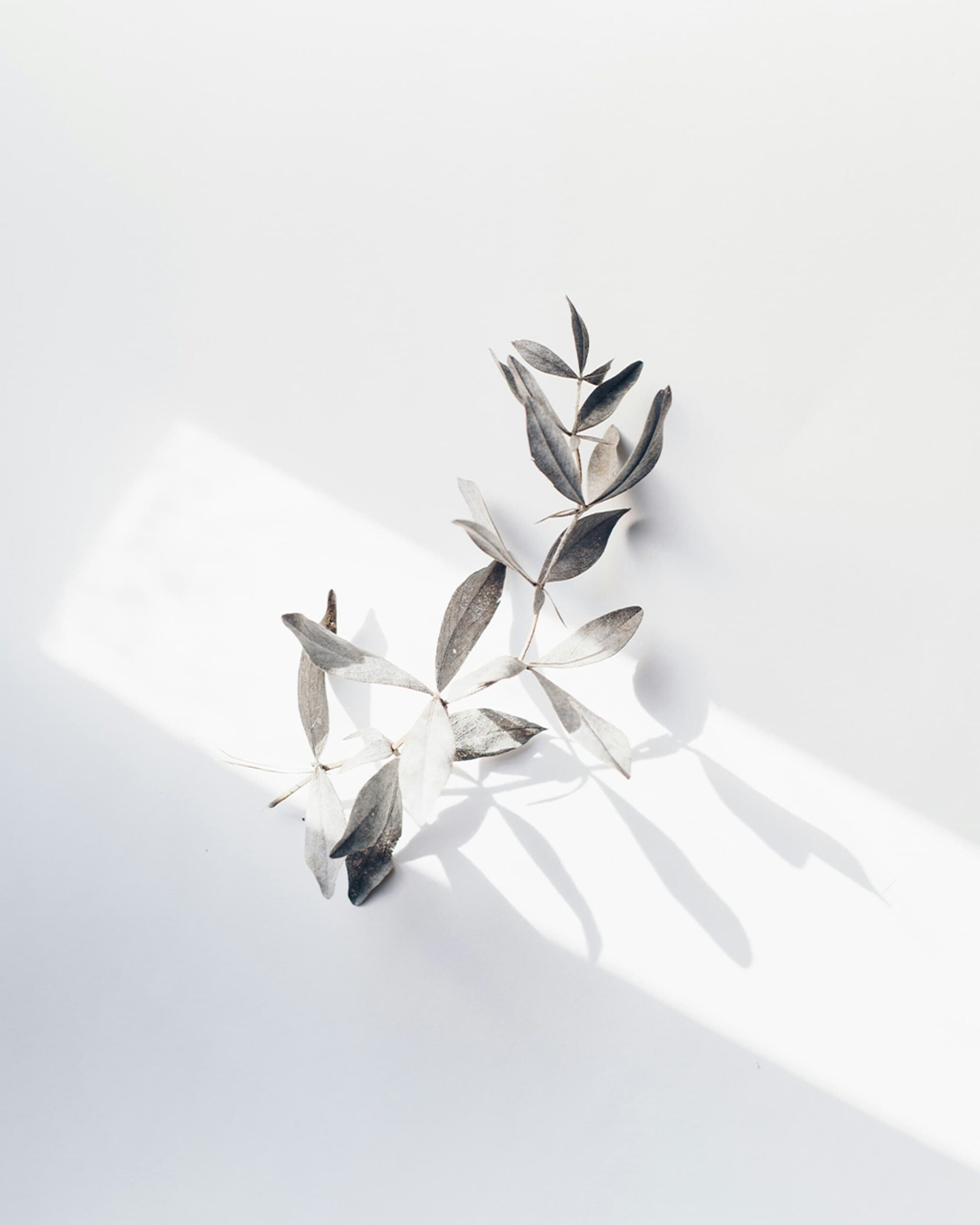 A Prayer for Simplicity | Reclaim Today