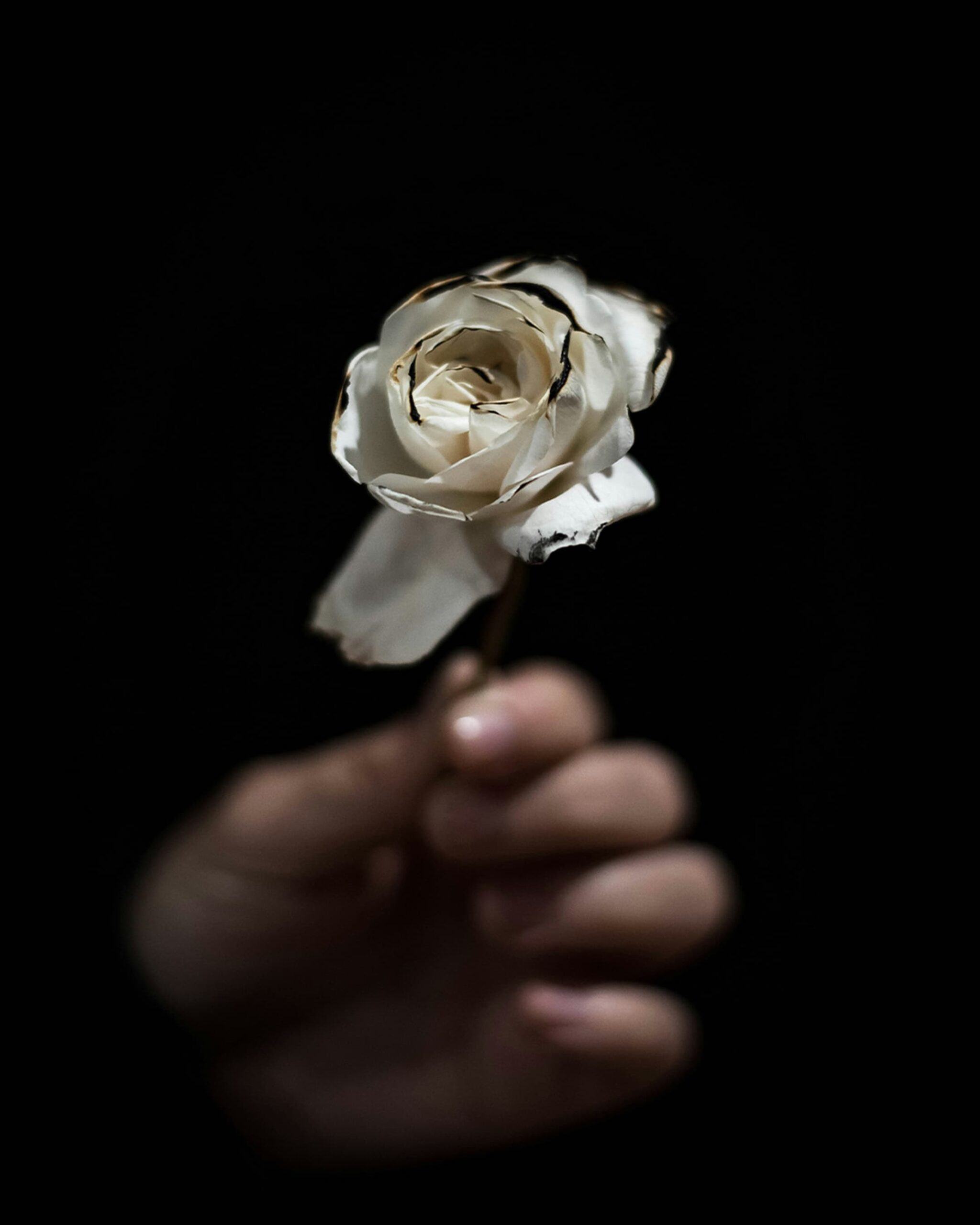 Can You Celebrate While You Grieve? | Reclaim Today