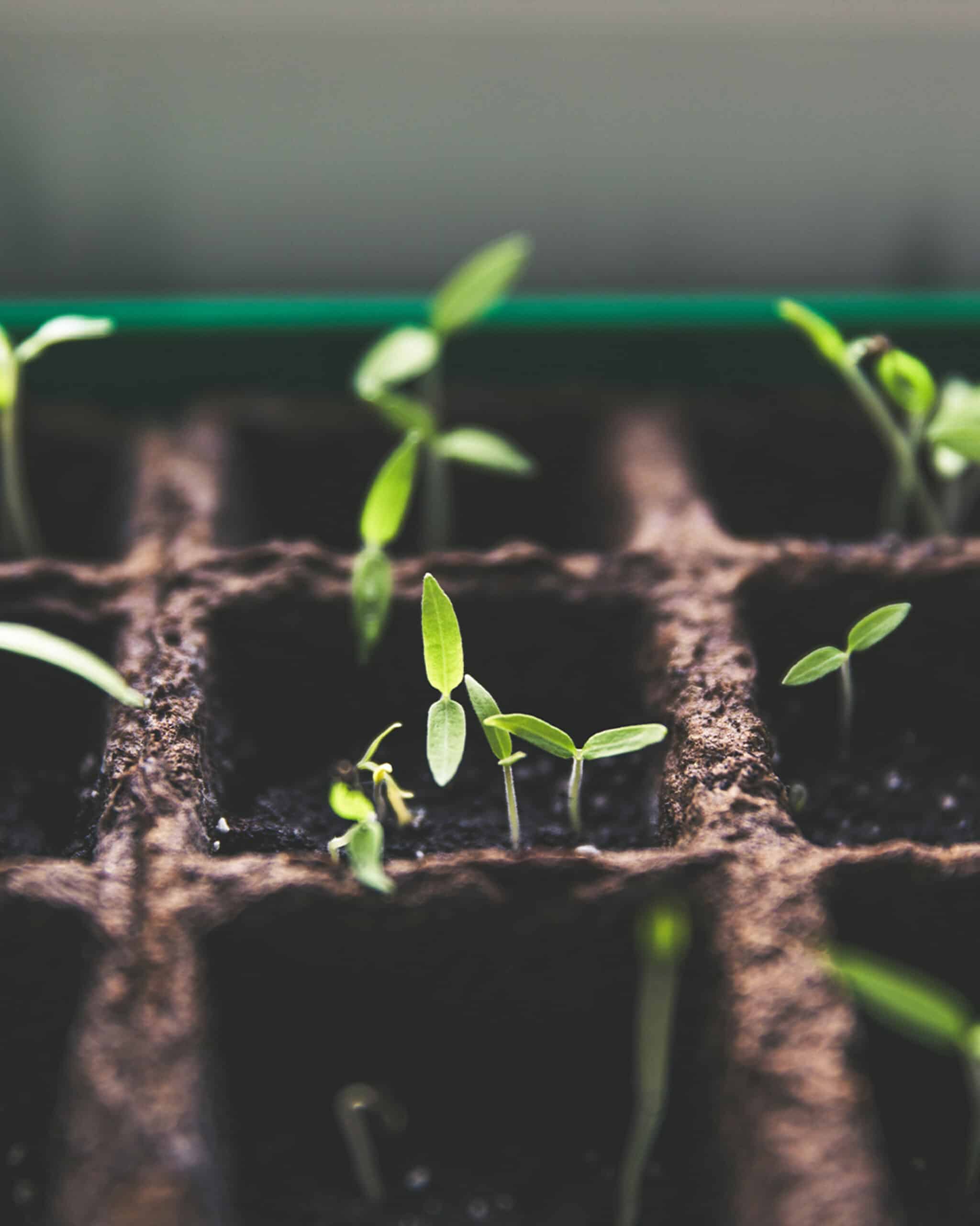 God's Grace is Bigger Than Our Failures | Reclaim Today