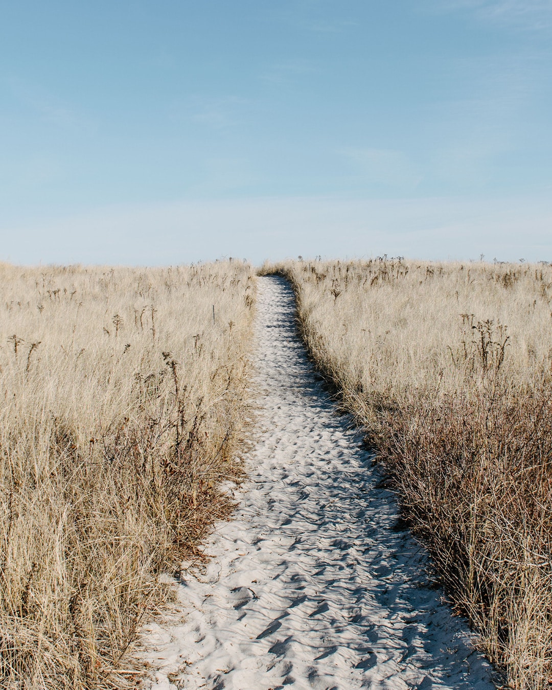 Scripture Meditation: Numbers 13:27-38, 30-31 | Reclaim Today