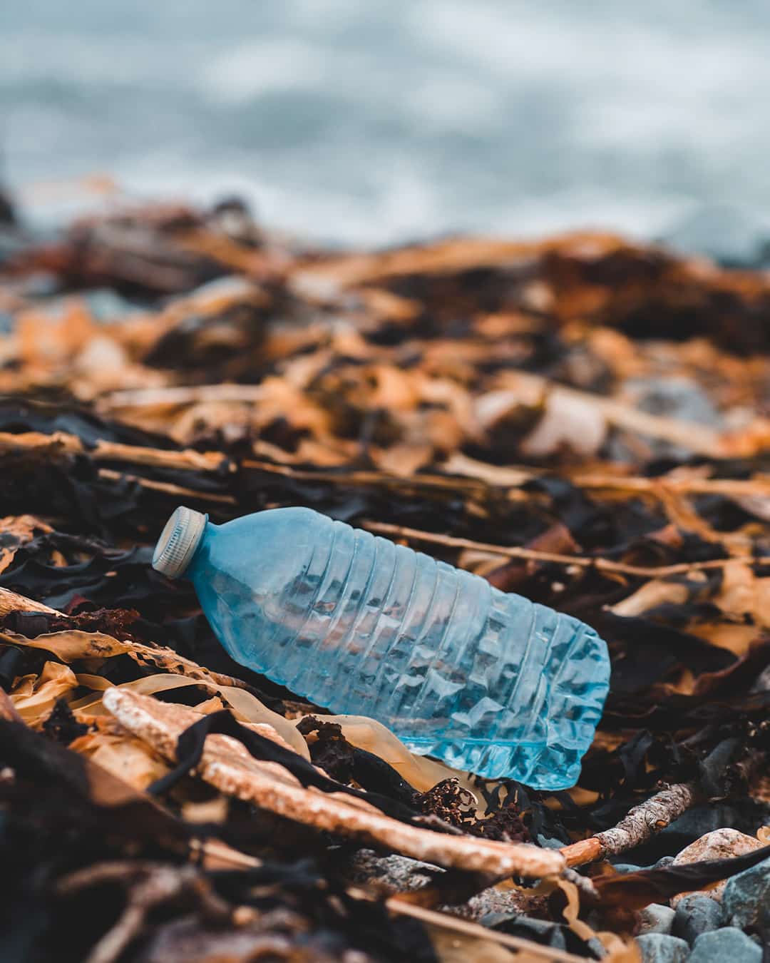 Care for God’s Creation | Reclaim Today