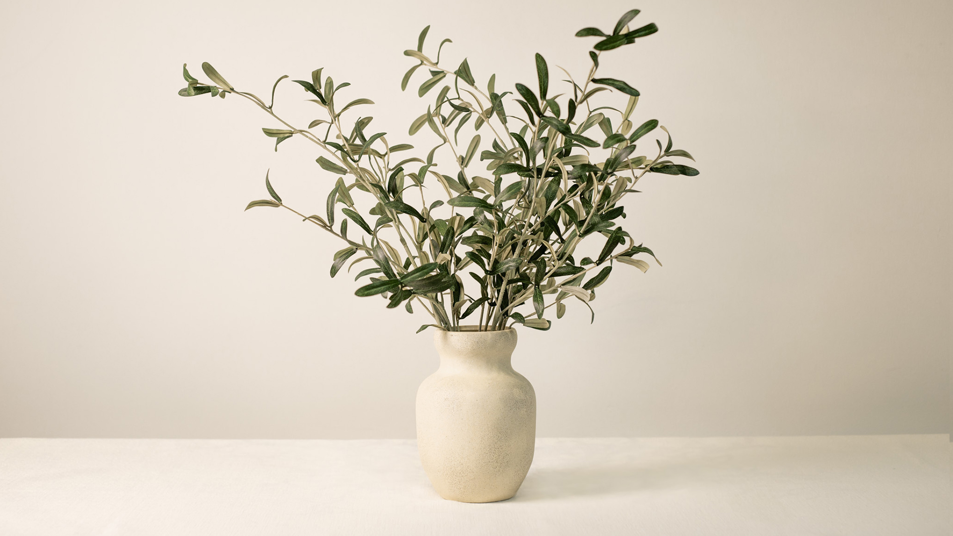 Creation Care | Reclaim Today