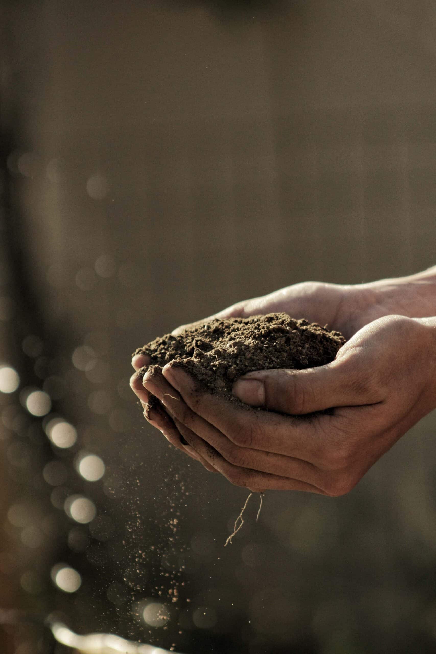 Let God Do the Work | Reclaim Today
